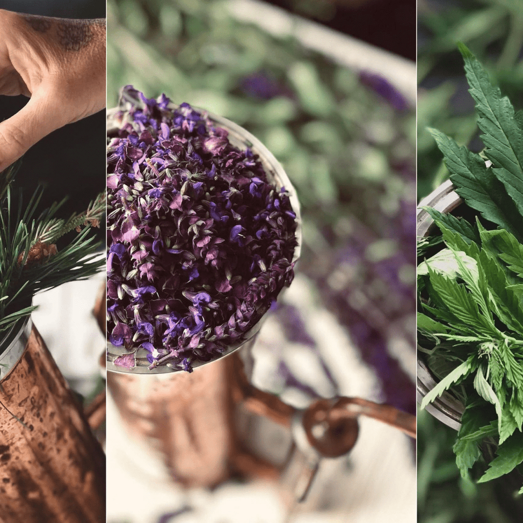 How to make your own essential oils at home: Step-By-Step Guide ...